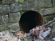 ThermoEnergy Earns Prestigious Award for Innovative Wastewater ...