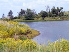 EPA Awards $65,000 to Muscogee Nation | Wastewater Digest