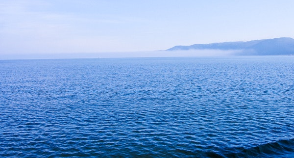Desalination Study Shows Strategies to Help Mitigate Marine Impacts ...