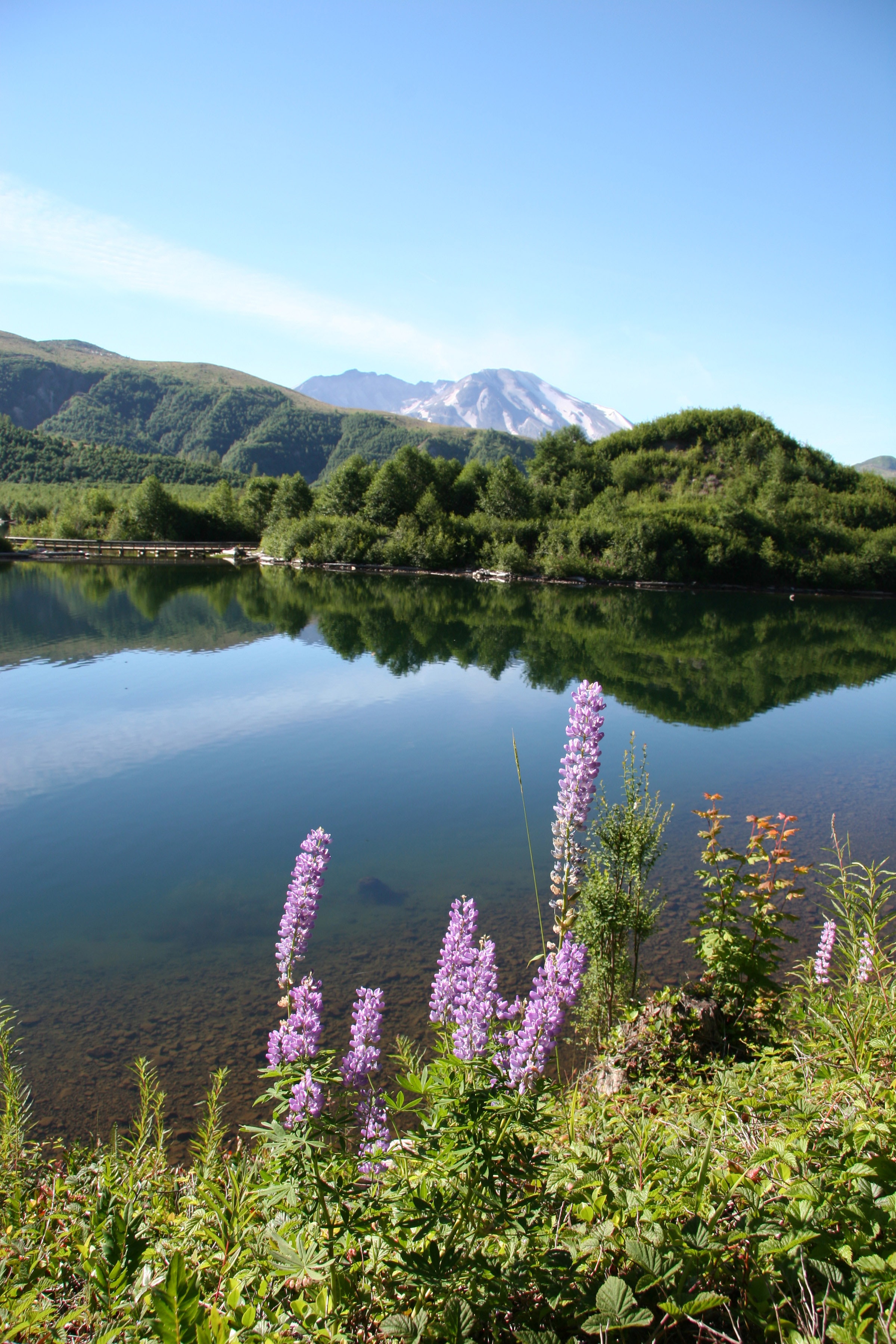 Oregon's Clean Water Services Adopts Innovyze Technologies | Wastewater ...