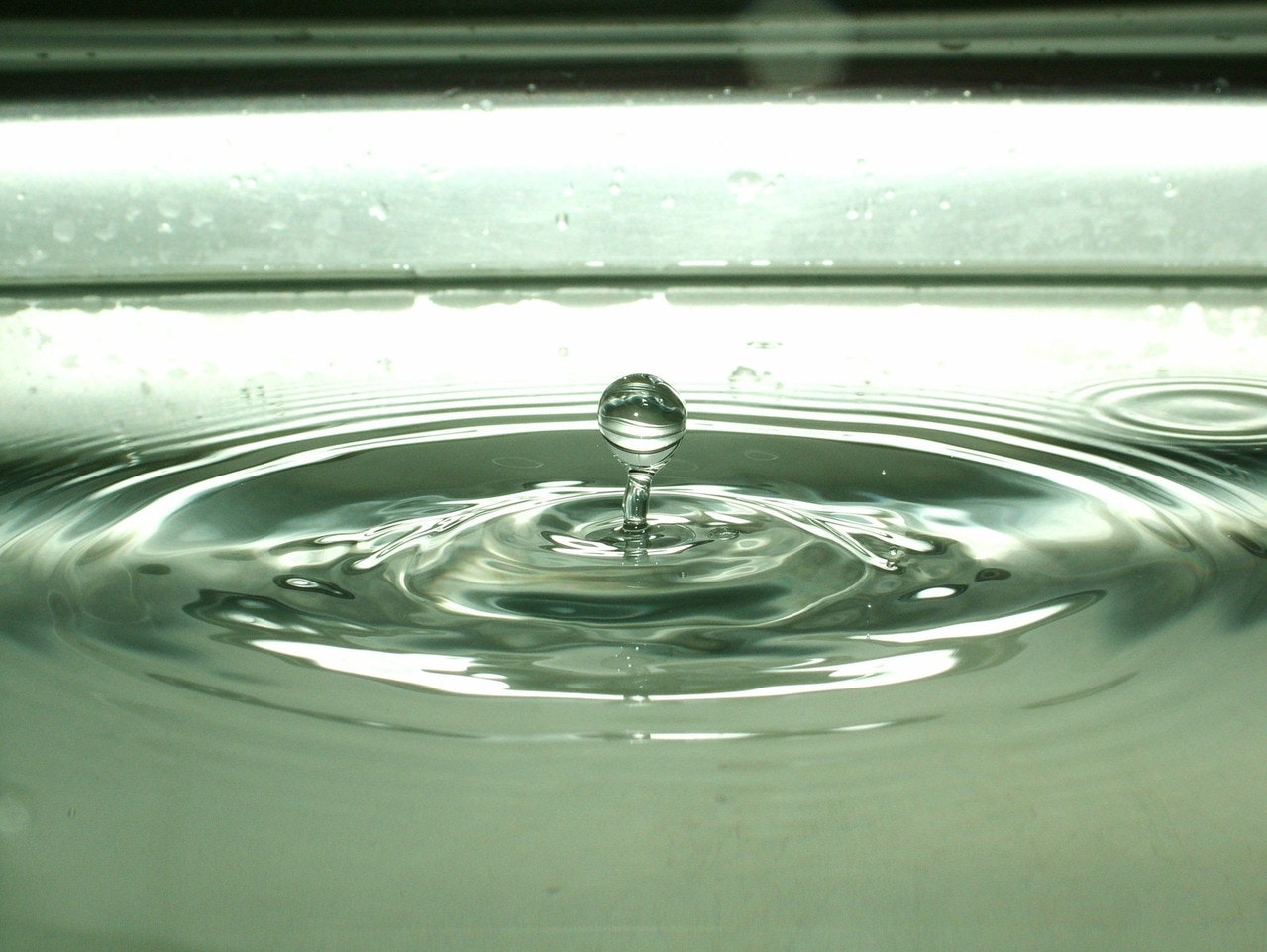Ovivo, DC Water Enter Exclusive Licensing Arrangement | Wastewater Digest