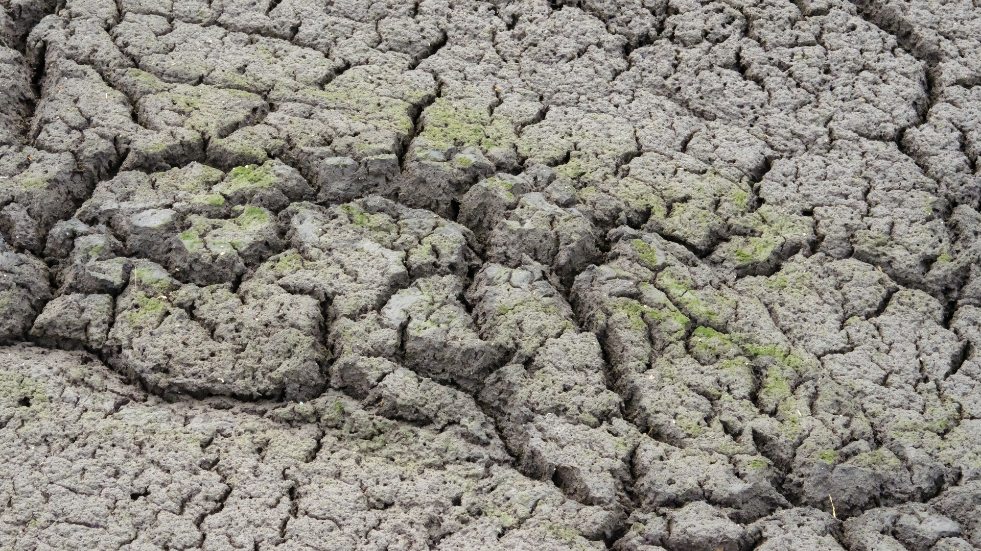 How to Use Class A Biosolids | Wastewater Digest