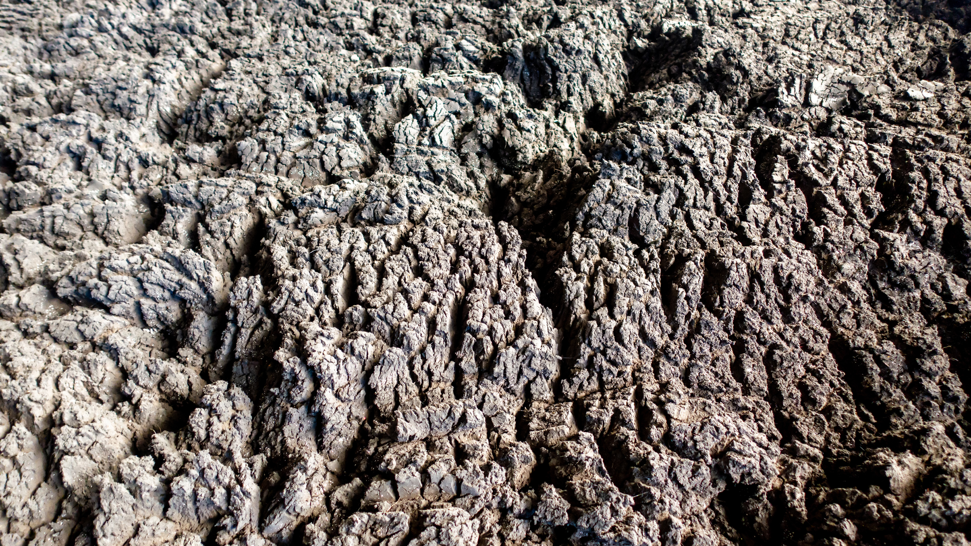 Generate Upcycle commissions first Varcor system for municipal ...