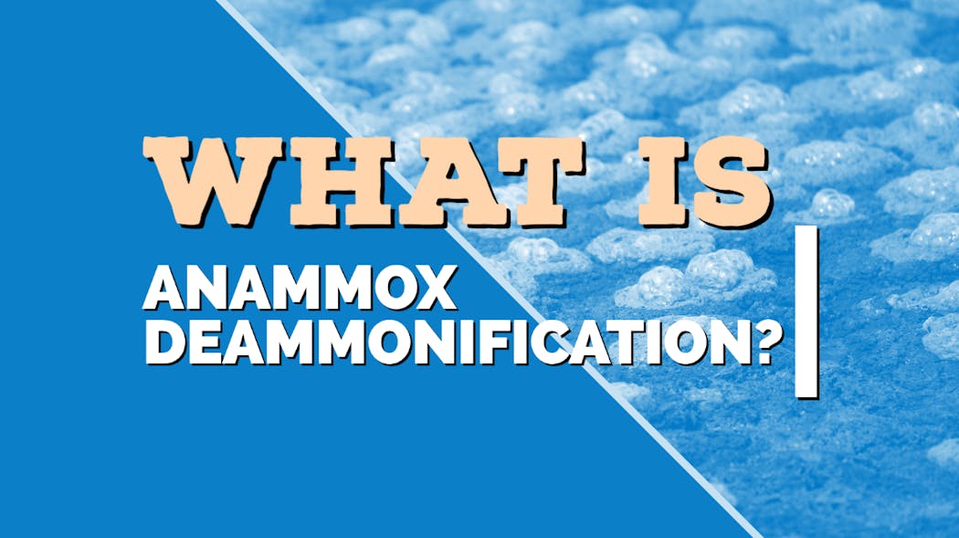 What is anammox deammonification? | Wastewater Digest
