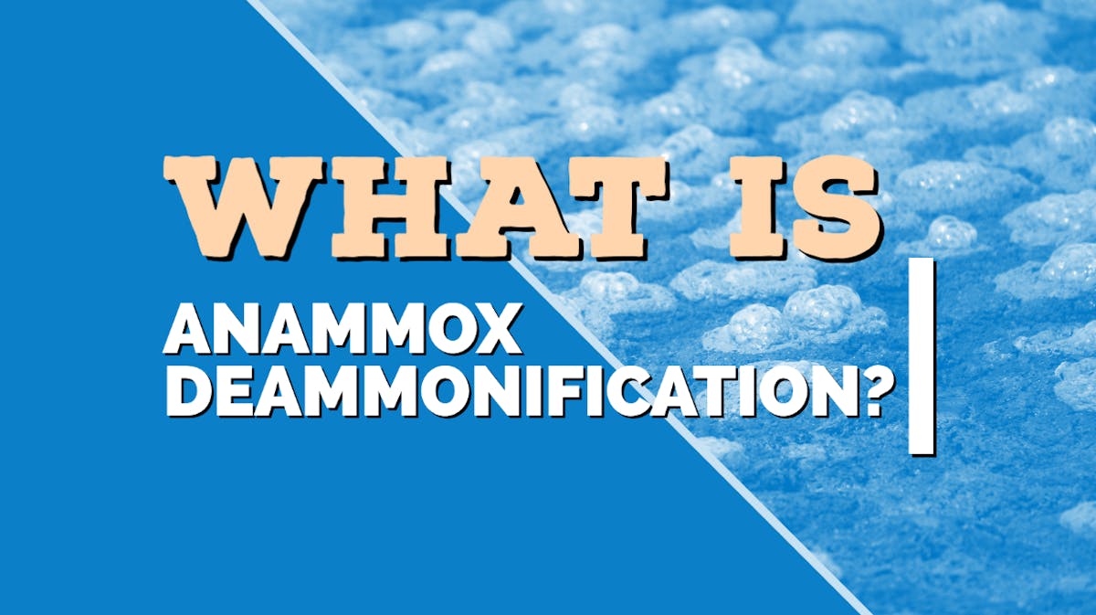 What is anammox deammonification? | Wastewater Digest