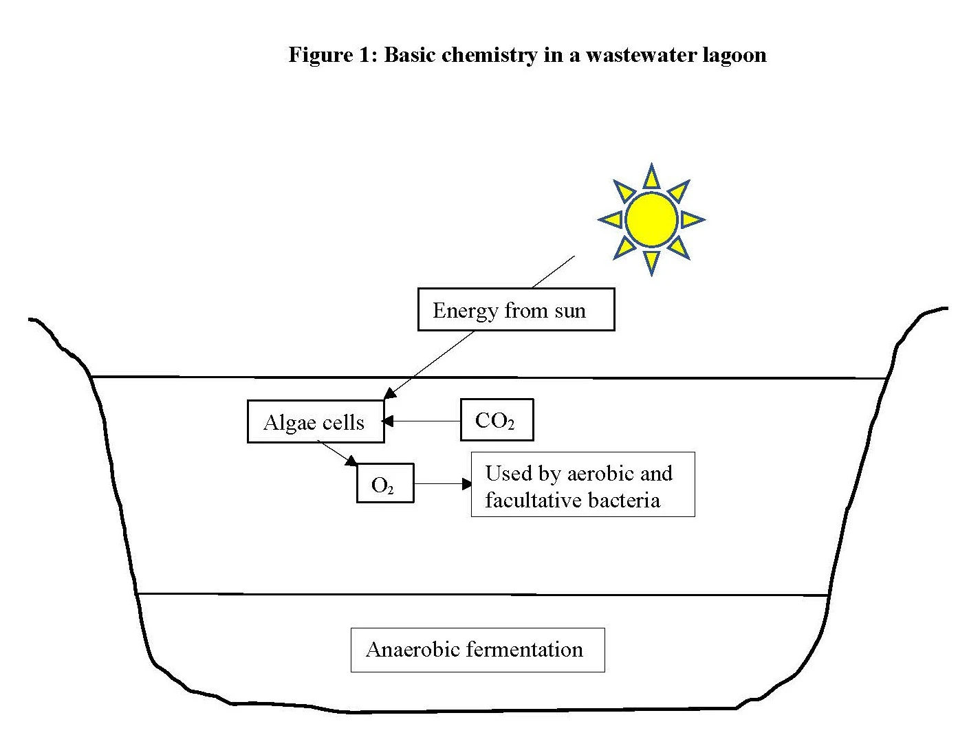 Aerobic Sewage Lagoon