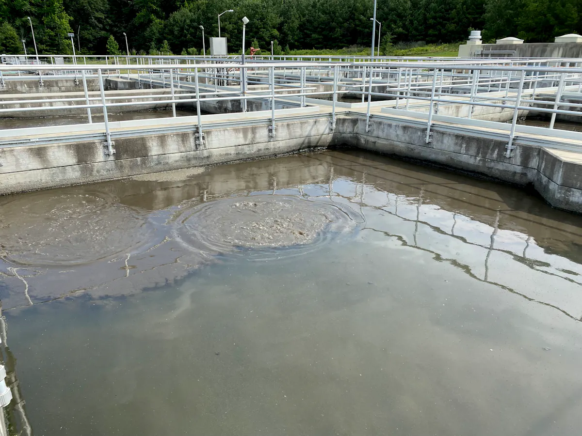 Enhanced fermentation: An effective approach to phosphorus removal ...