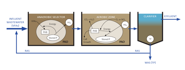 Enhanced fermentation: An effective approach to phosphorus removal ...