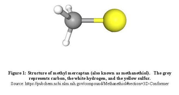 What are mercaptans? | Wastewater Digest