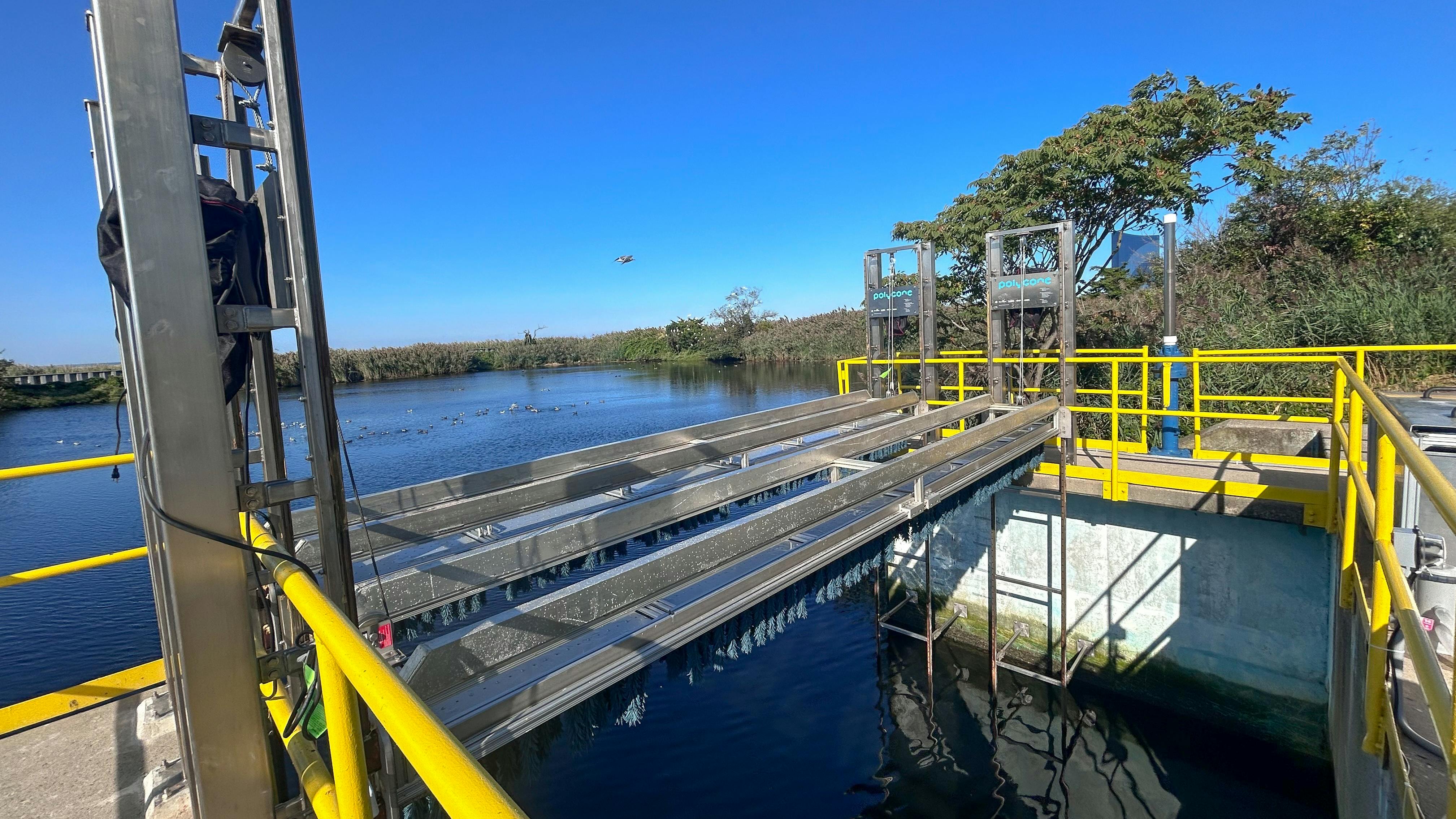 PolyGone celebrates grand opening of microplastic removal pilot ...